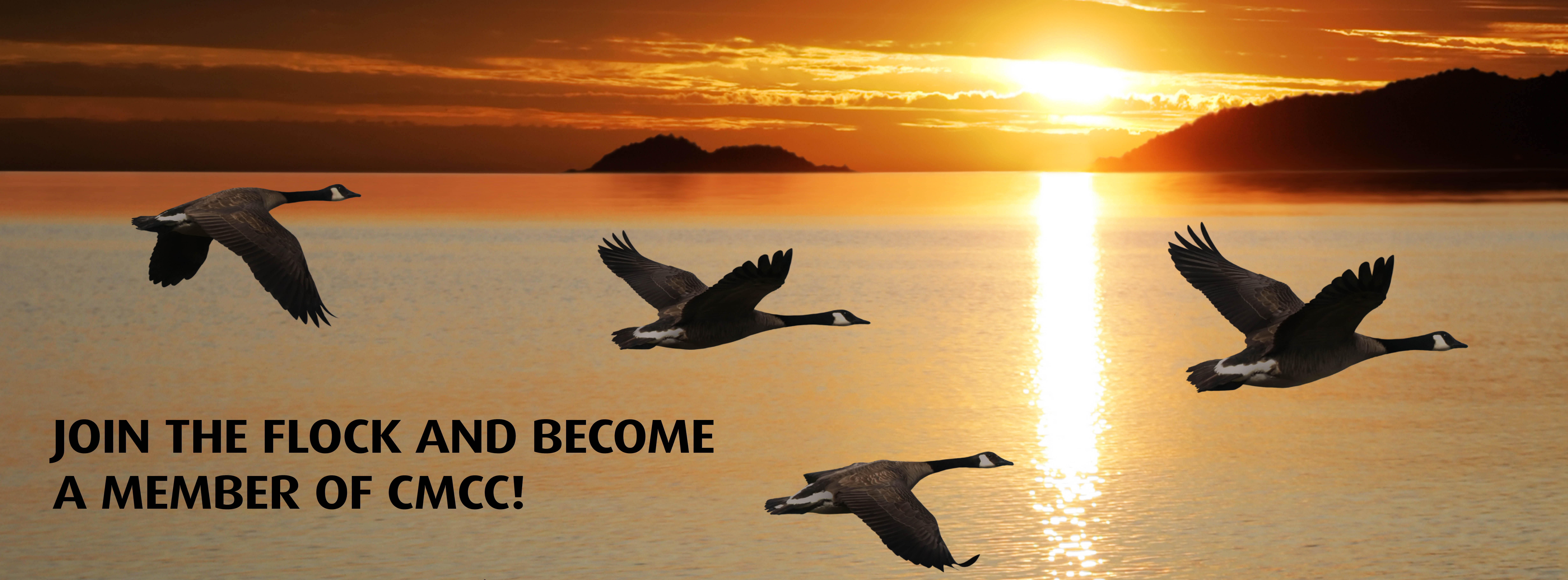 Home Page [www.cmcc.ca]